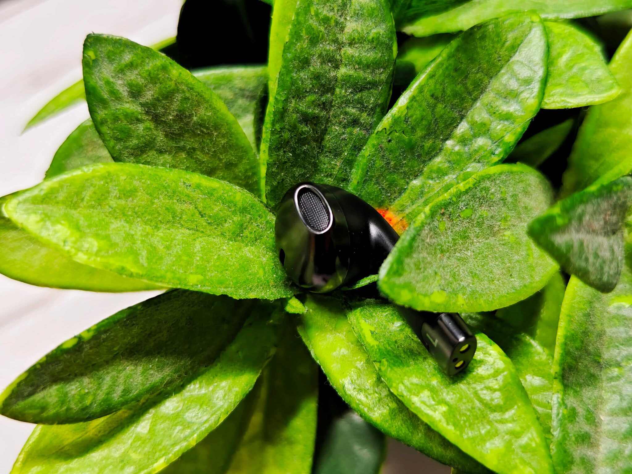 Avier AAL String S 半入耳式藍牙耳機開箱 - 純粹音樂、極致享受的小巧耳機 - 科技生活 - teXch