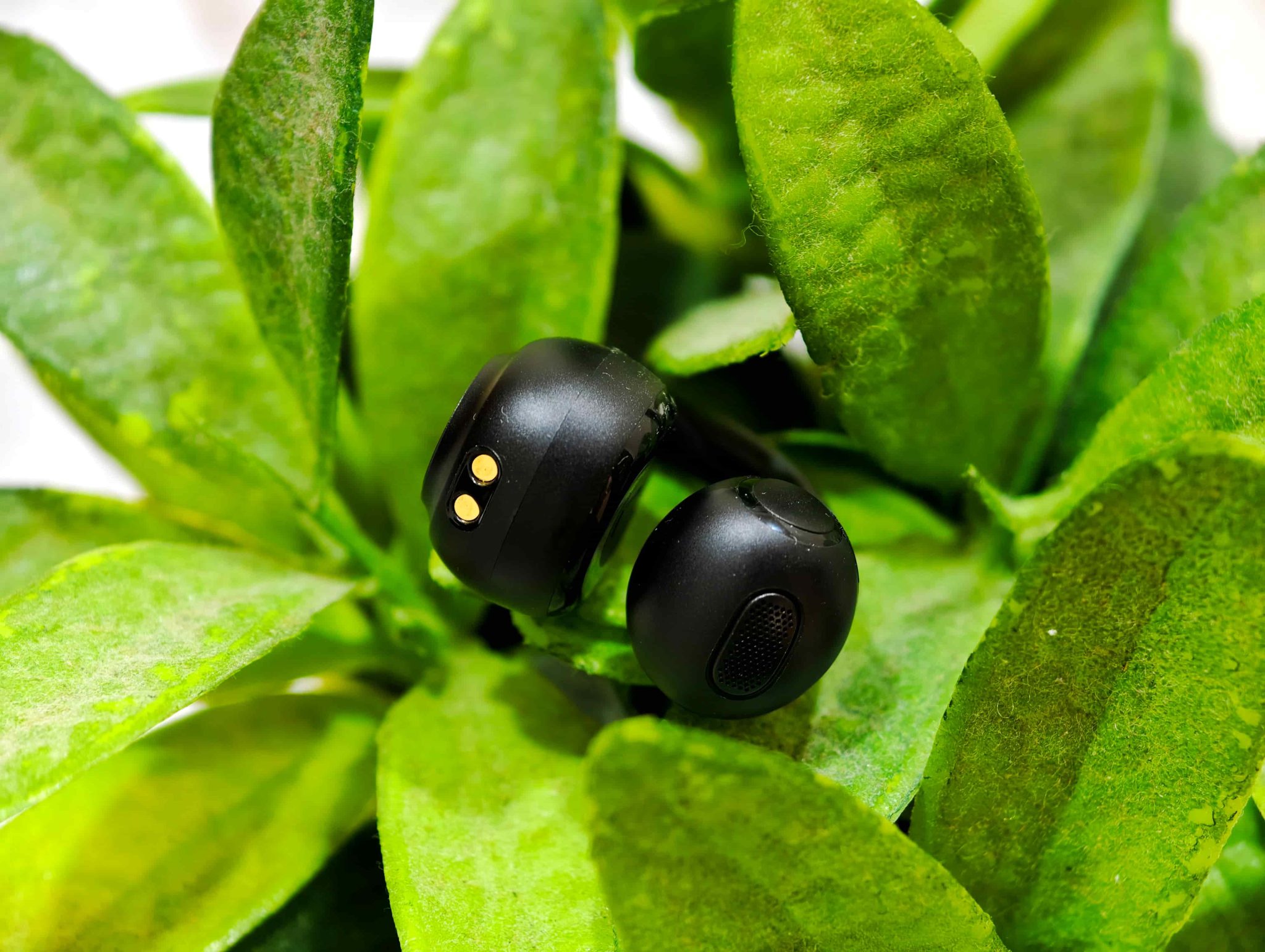 JLab FLEX 開放式藍牙耳機開箱 - 解放雙耳，開放式聽覺設計 - 科技生活 - teXch